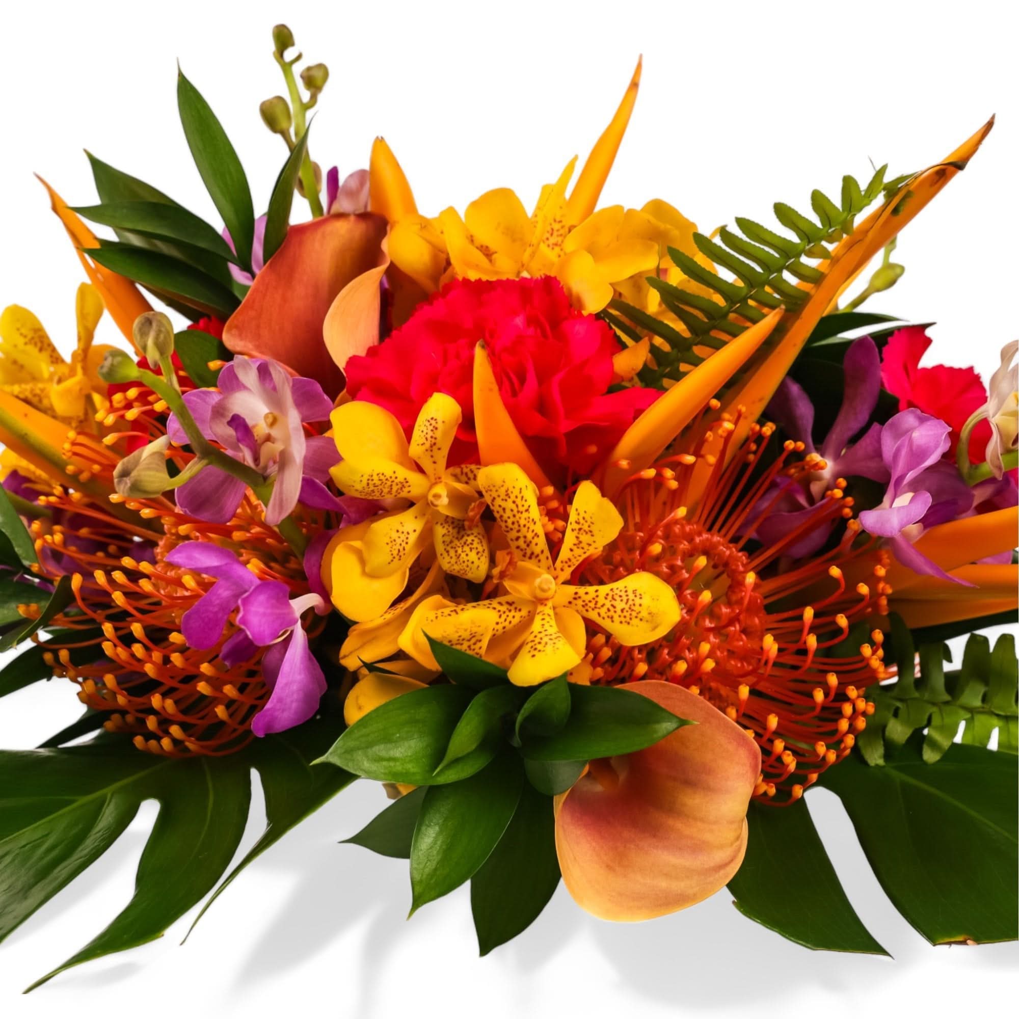 Late Night Luau Floral | Green Fresh Florals + Plants