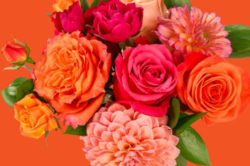 How Florists Keep Flowers Alive Longer | Green Fresh Florals – Green ...