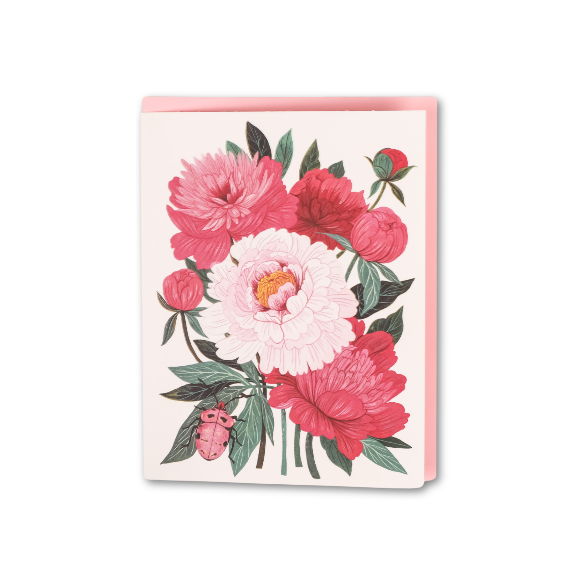 Peony Greeting Card from Green Fresh Florals + Plants