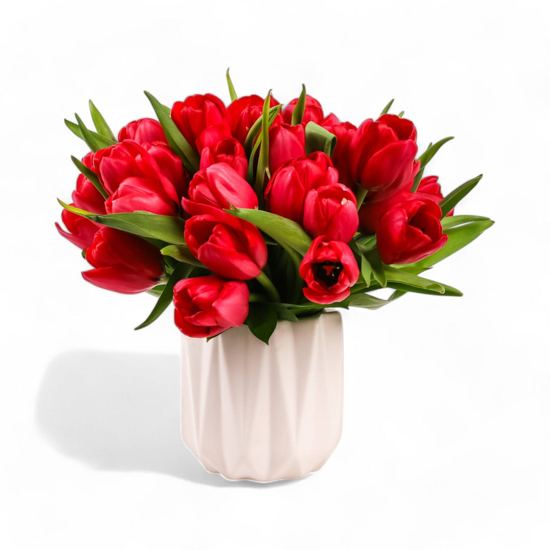 San Diego’s Premier Florist | Green Fresh Florals + Plants