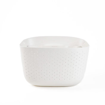 Wally Eco Living Wall Planter - Green Fresh Florals + Plants